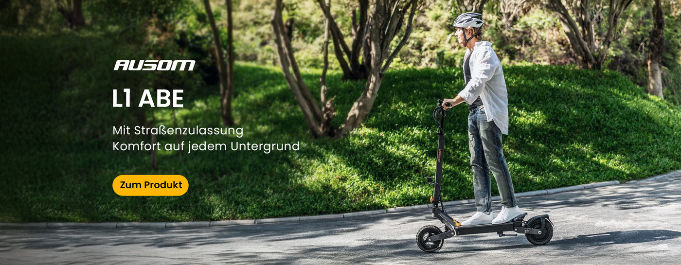 E Scooter Mit Straenzulassung Fr Deutschland